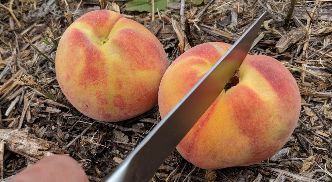 Isn’t that just the (split) pits? – The Orchard Stephenville